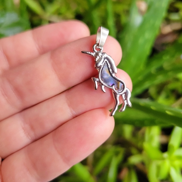 Jewelry | New Silver Abalone Dainty Unicorn Pendant | Poshmark